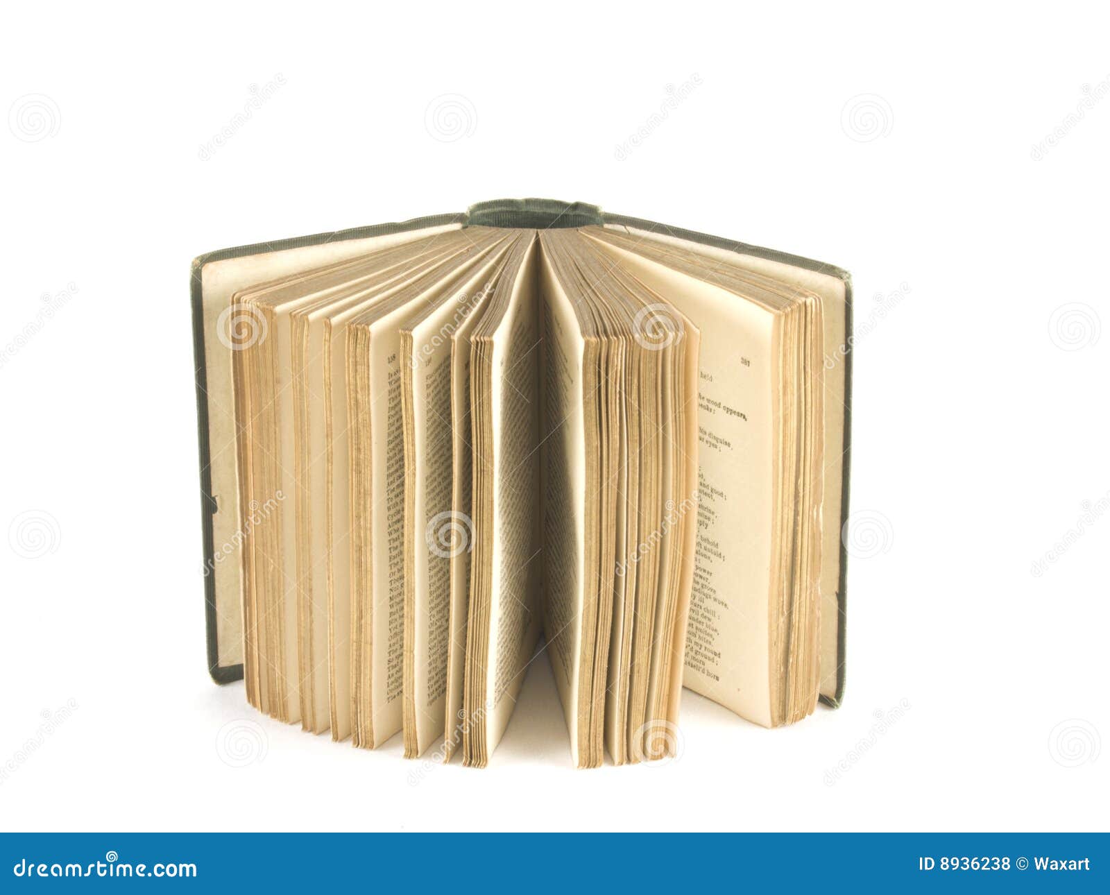 Book Standing Up