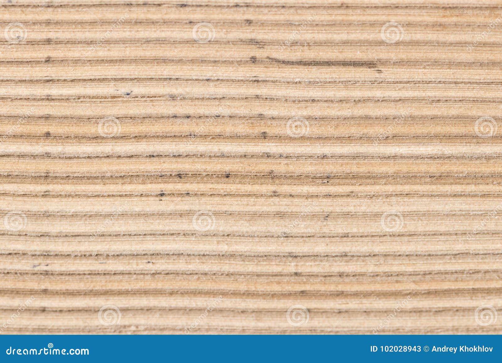 Book Pages Side Texture