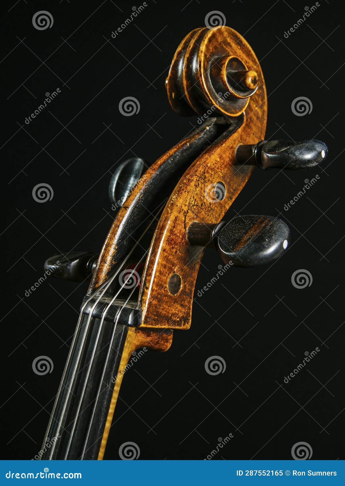 Cutaway Cello Scroll