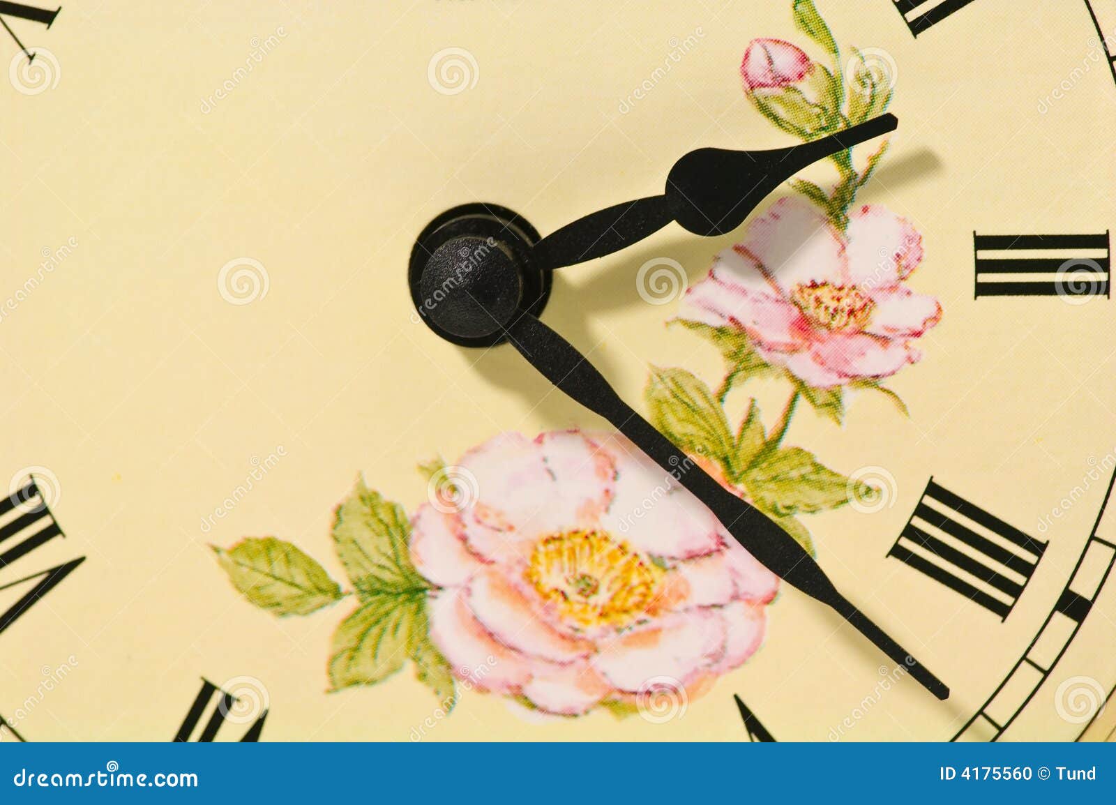 904 Clock Face Flowers Stock Photos - Free & Royalty-Free Stock Photos ...