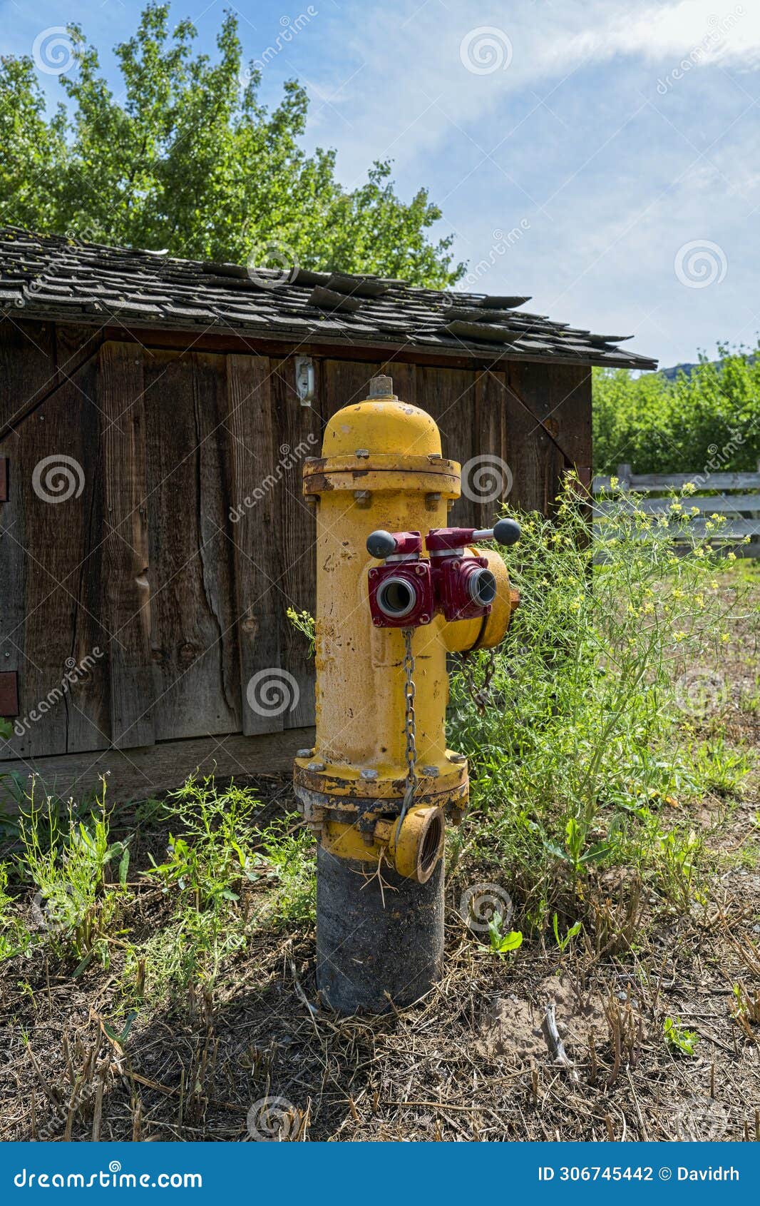 An Antique Fire Hydrant with Dual Hose Connections Next To a Barn Stock ...