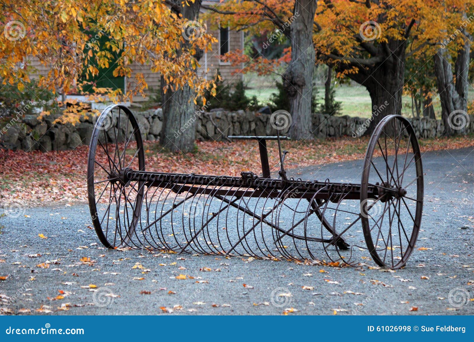 Antique Hay Rake in Fall stock photo. Image of homestead - 61026998
