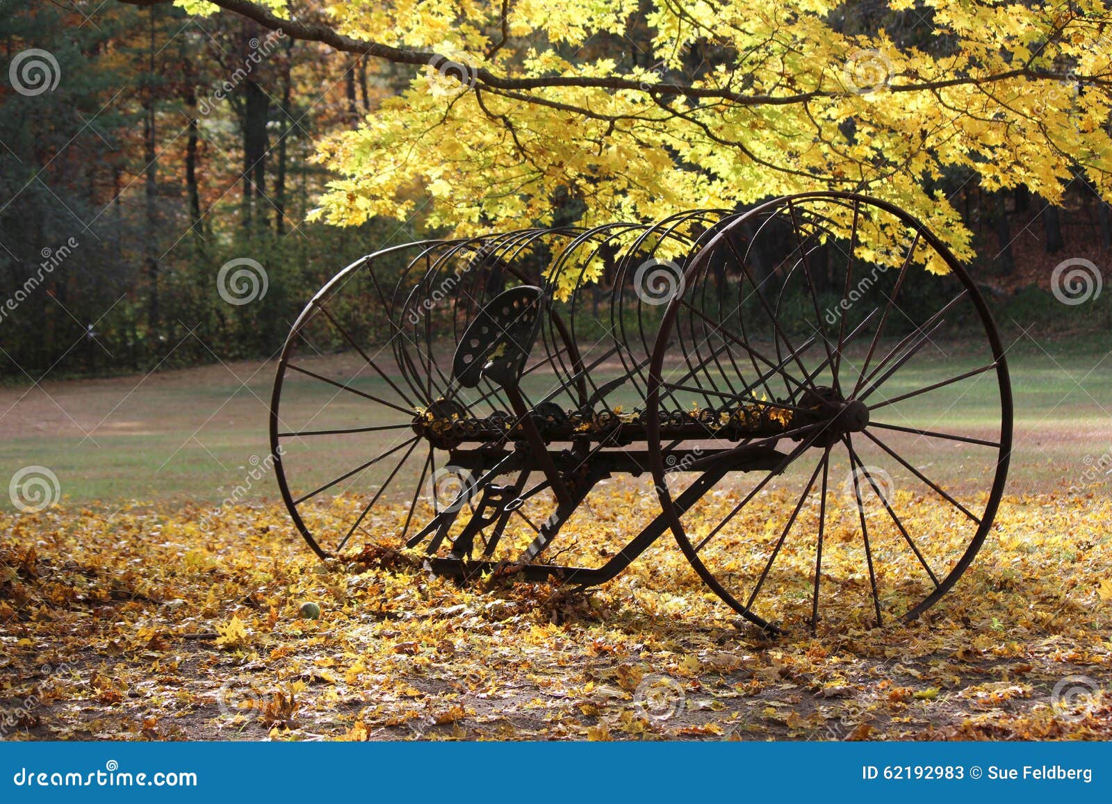 Antique Hay Rake in Fall stock image. Image of antiquity - 62192983