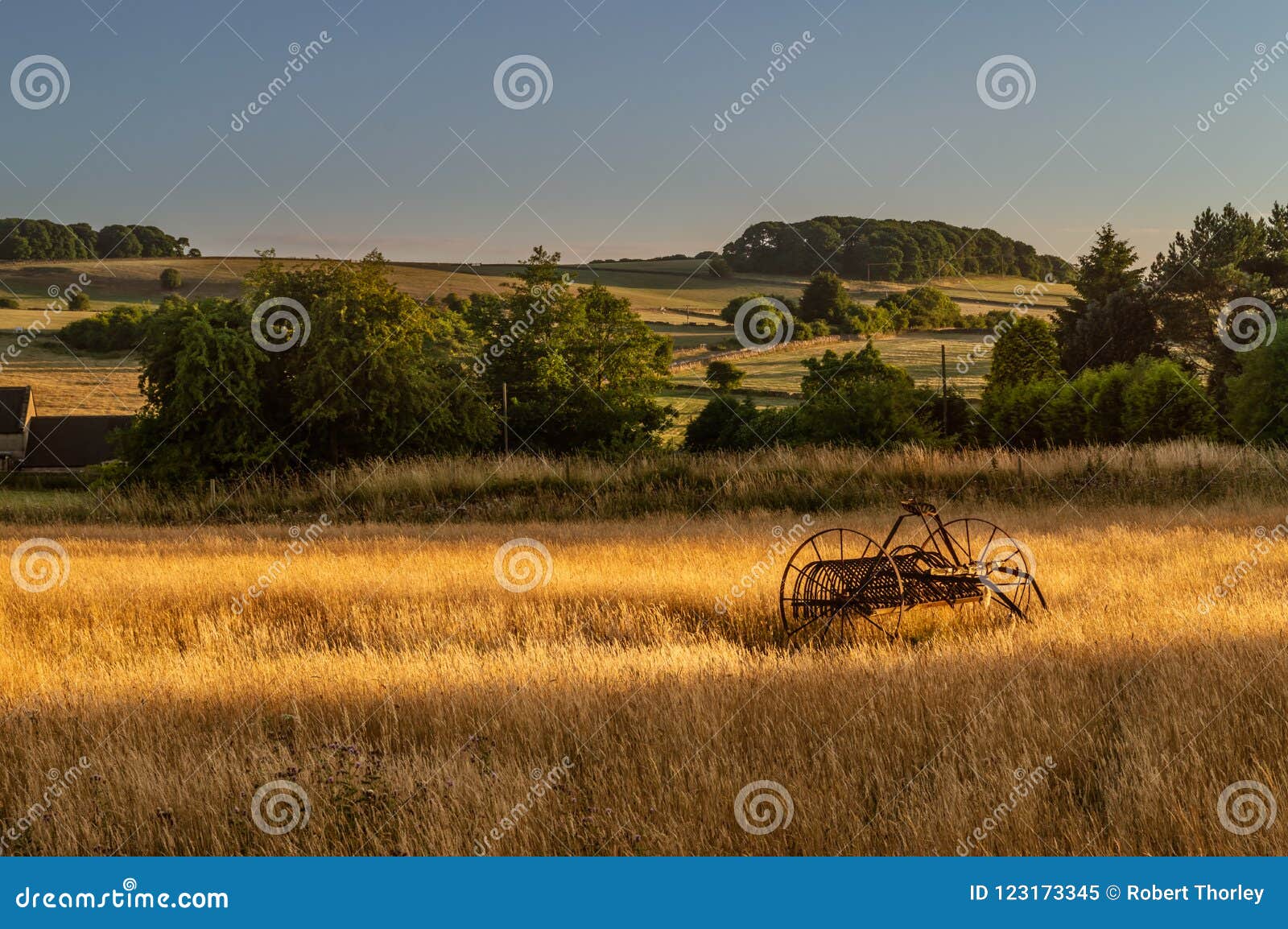 Antique Hay Rake in a Farmers Field. Stock Image - Image of cauldon ...
