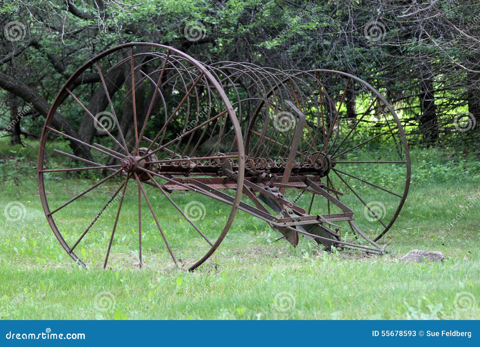 Antique Hay Rake stock image. Image of obsolete, objects - 55678593