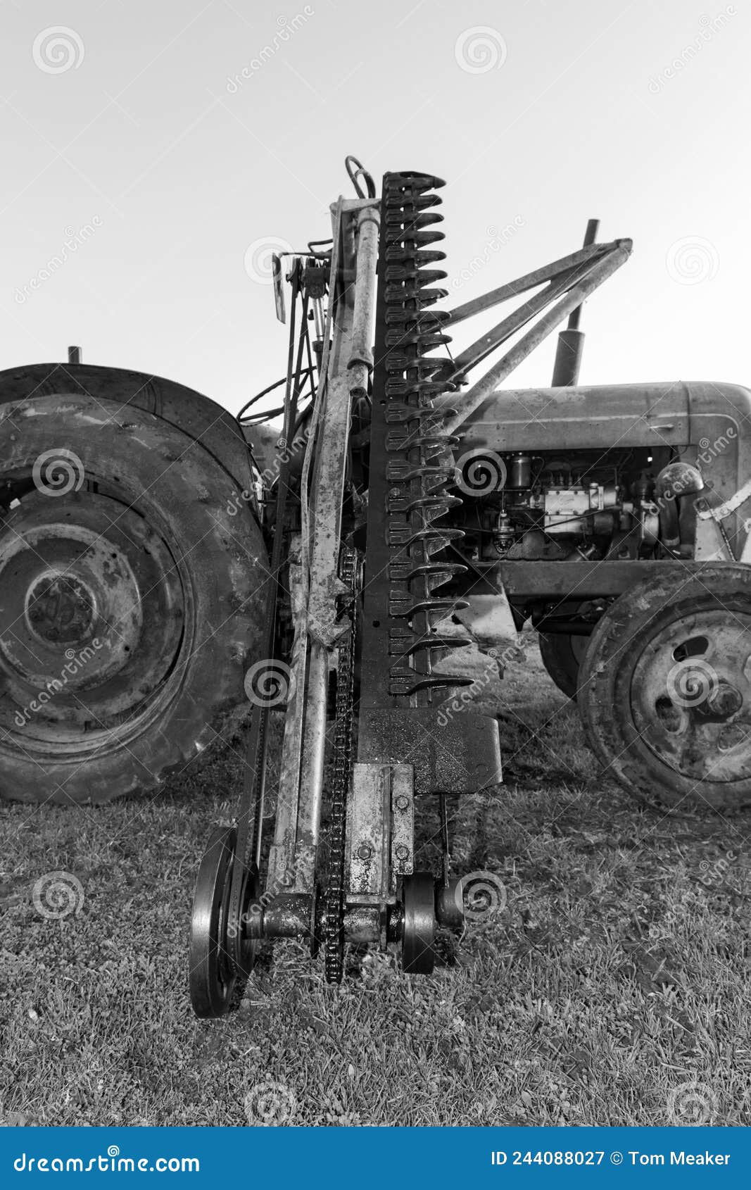 Antique hedge trimmer stock image. Image of countryside - 244088027