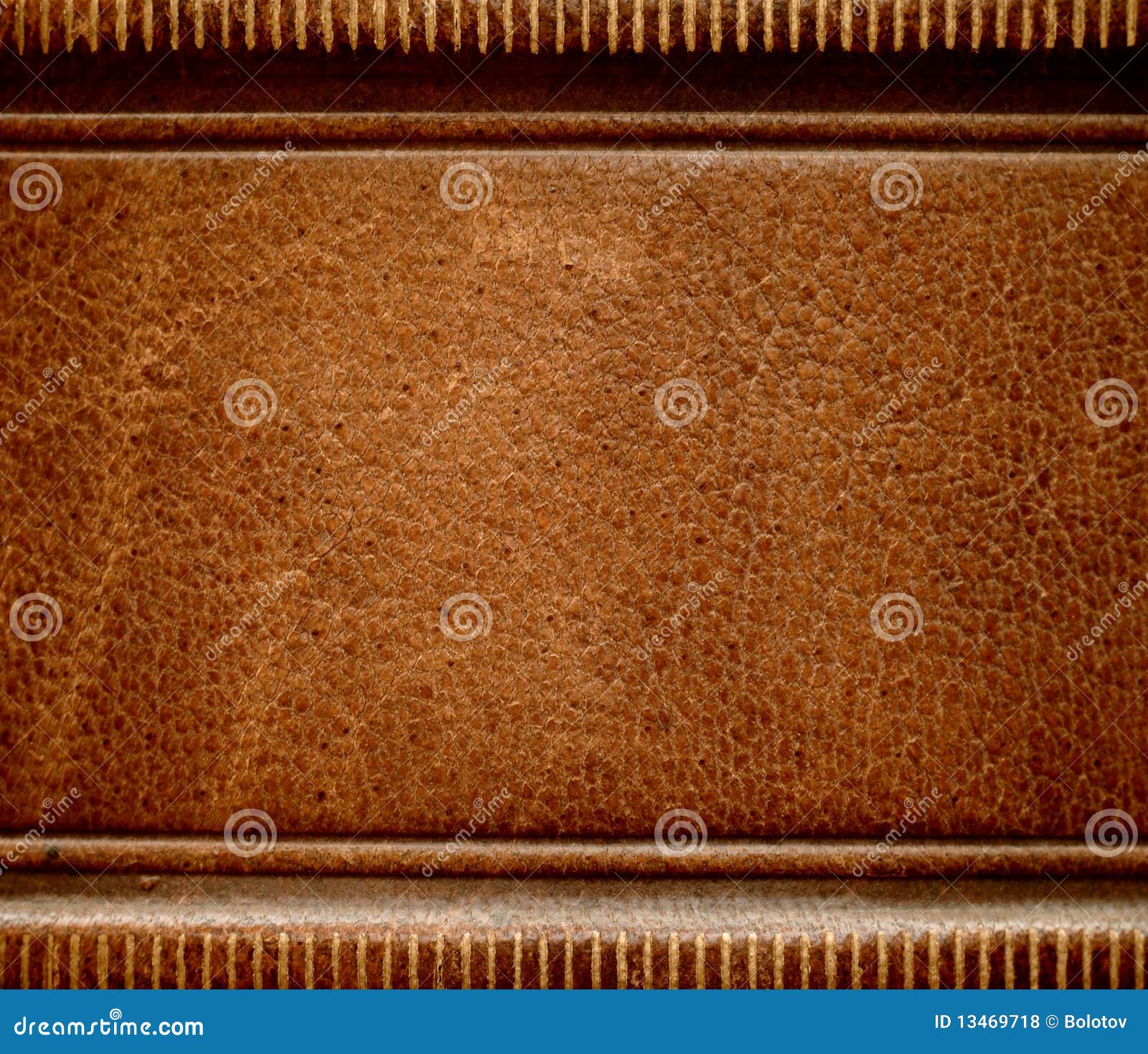 Antique Leather Book Spine Cover. Stock Photo - Image of museum ...