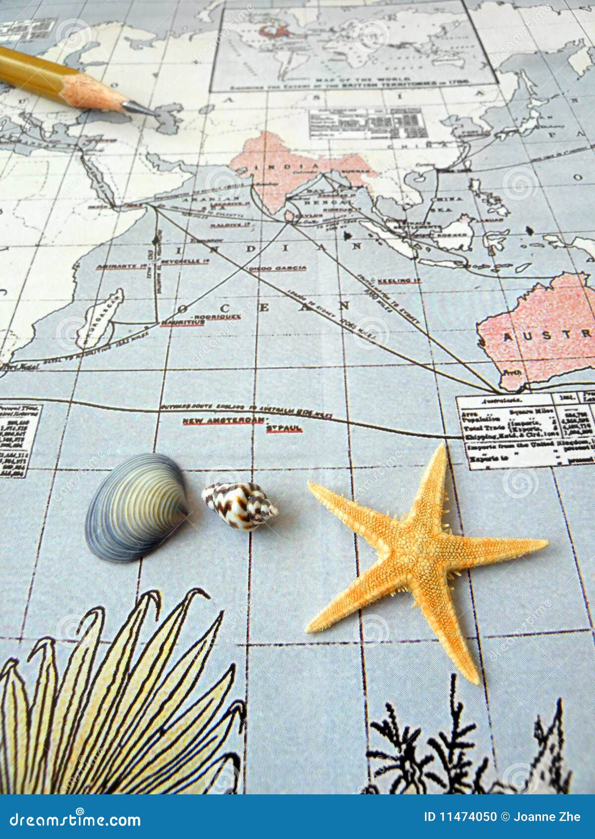 Old Maps With Shells Stock Photo | CartoonDealer.com #47367144