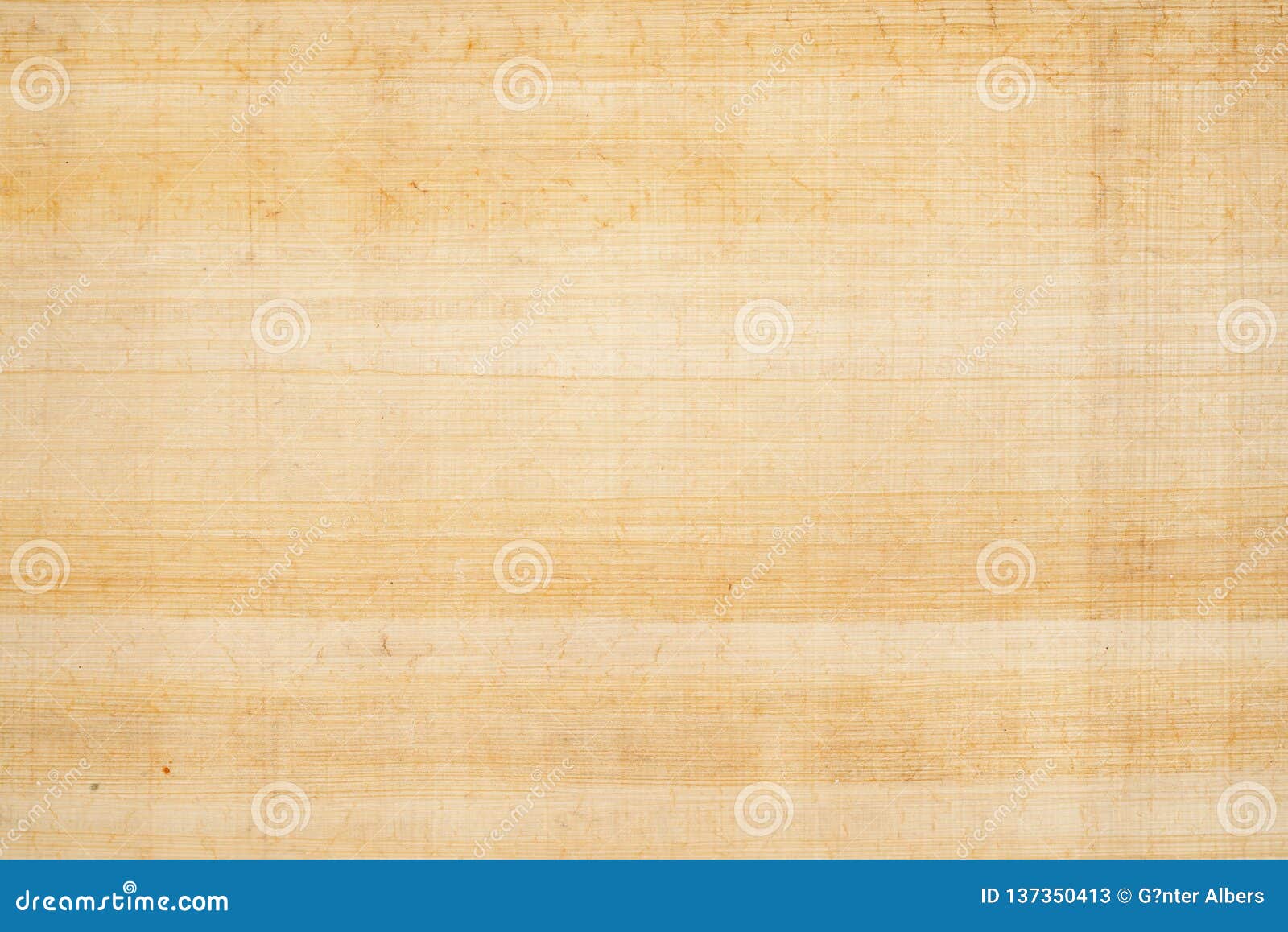 Papyrus Paper Texture