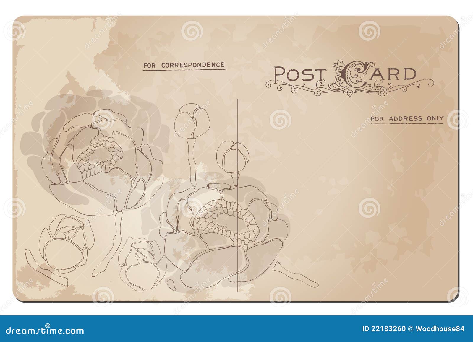 Antique Postcard with Lily Flower Design Stock Vector - Illustration of ...