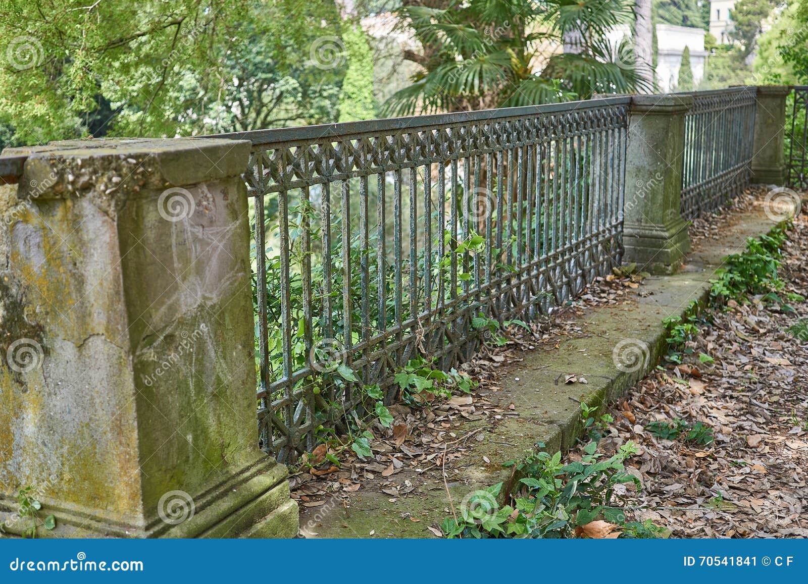 Antique railing in Nature stock image. Image of fallen - 70541841