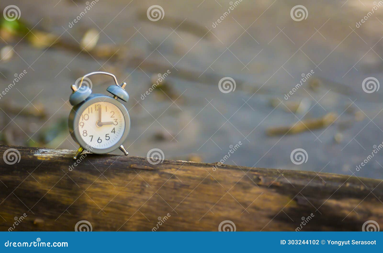 Antique Shape Alarm Clock Placed in Natural Place Stock Photo - Image ...