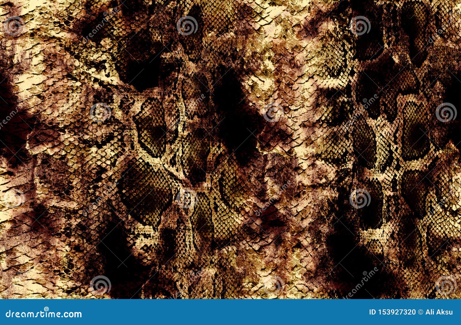 Antique Snakeskin and Brown Surface Pattern Stock Photo - Image of ...