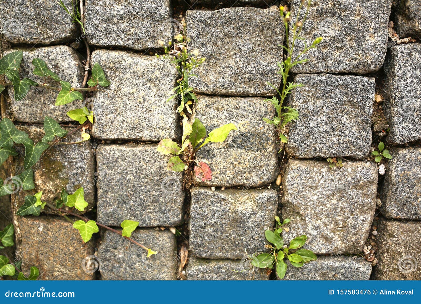 Antique Stone Blocks, Hand-made, Road Made of Durable Material Stock ...