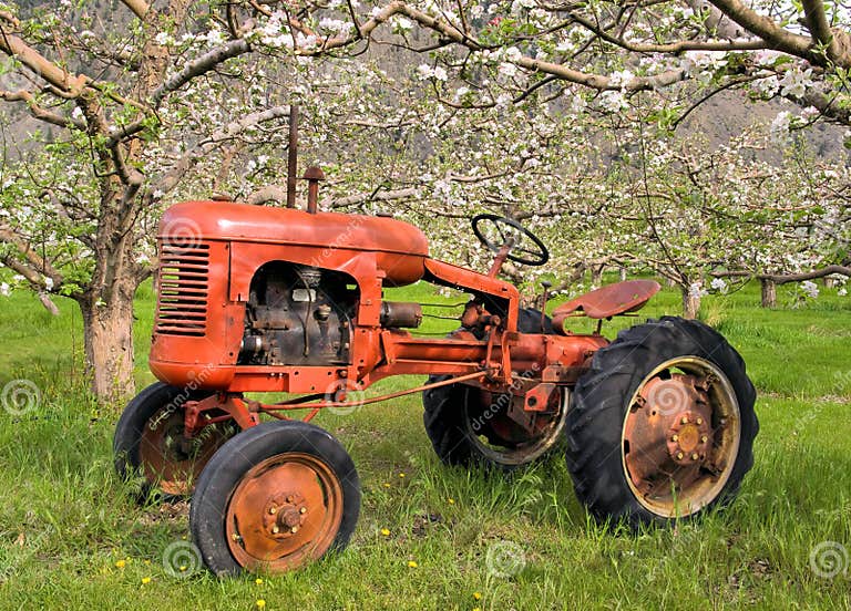 Antique Tractor and Orchard Stock Photo - Image of blossoming, antique ...