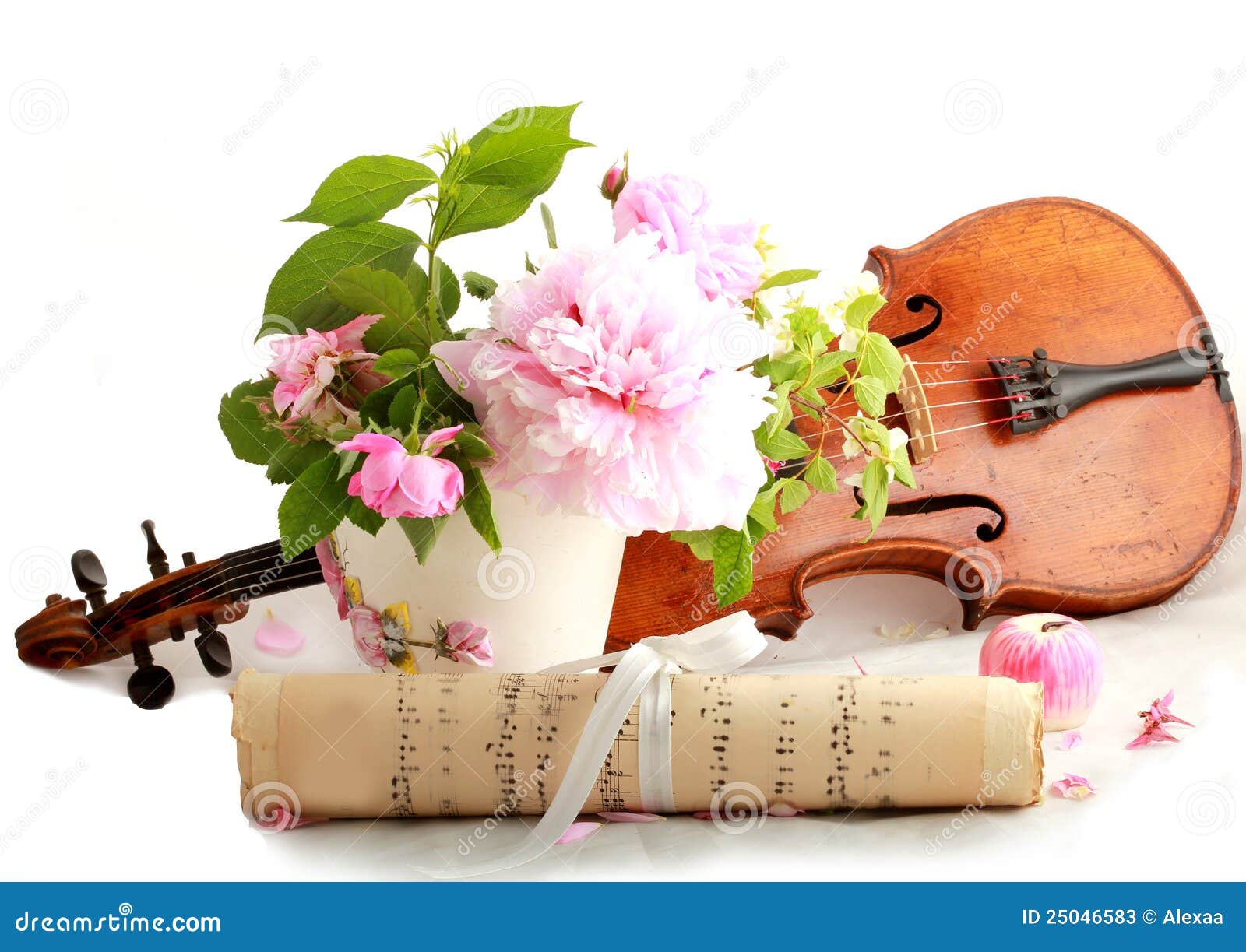 Violin And Rose Old