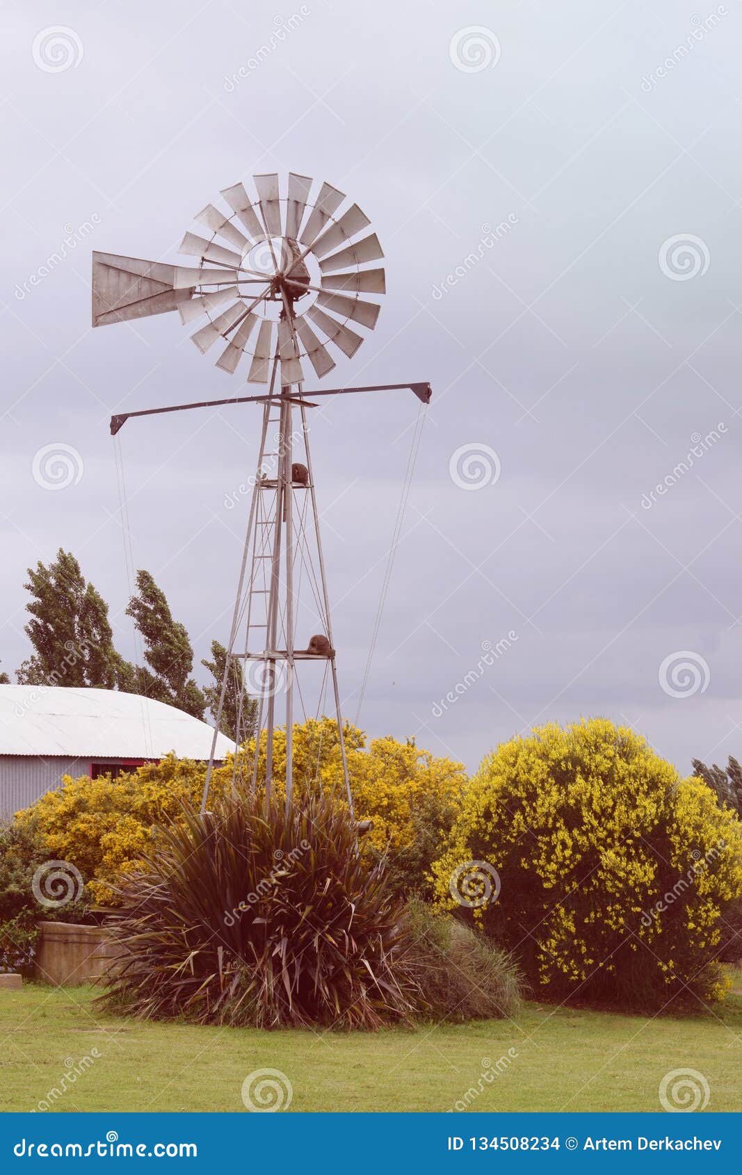 Antique Windmill on the Farm in Working Condition Stock Photo - Image ...