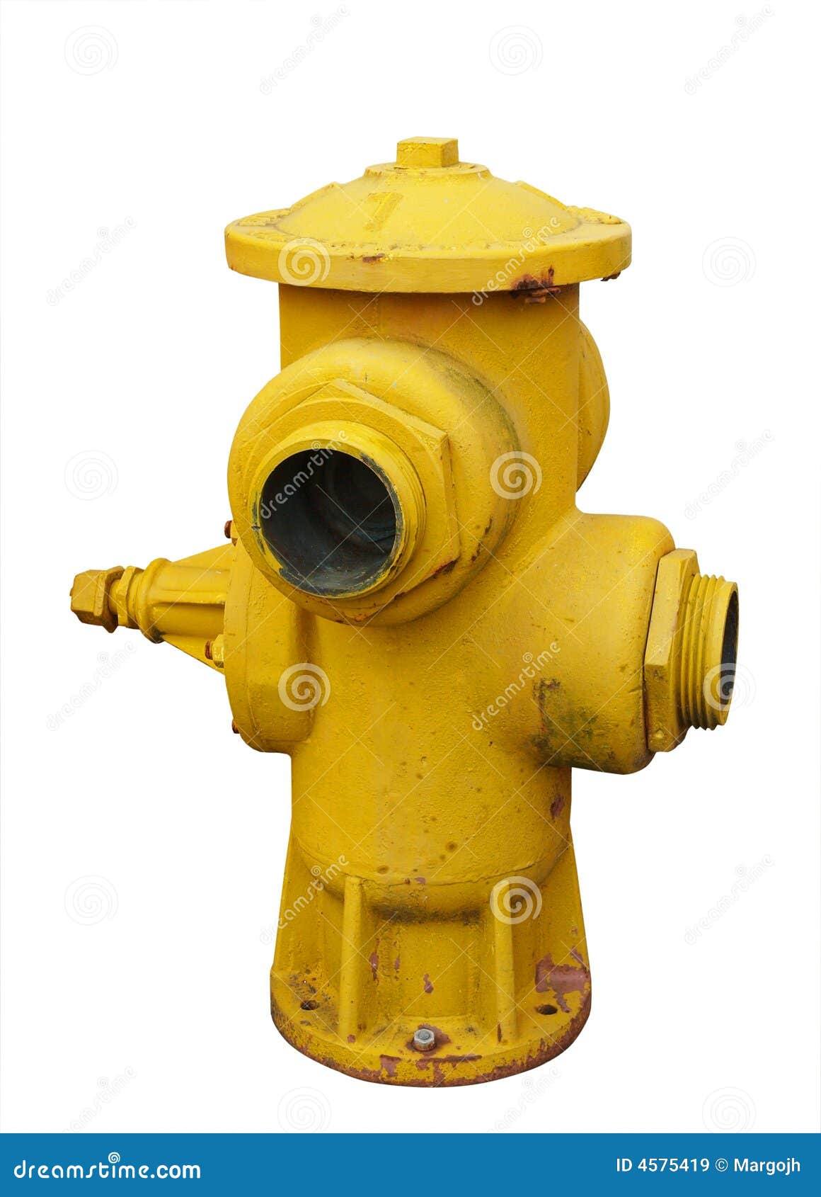 Yellow Fire Cat Sitting On The Wall Background Royalty-Free Stock Photo ...