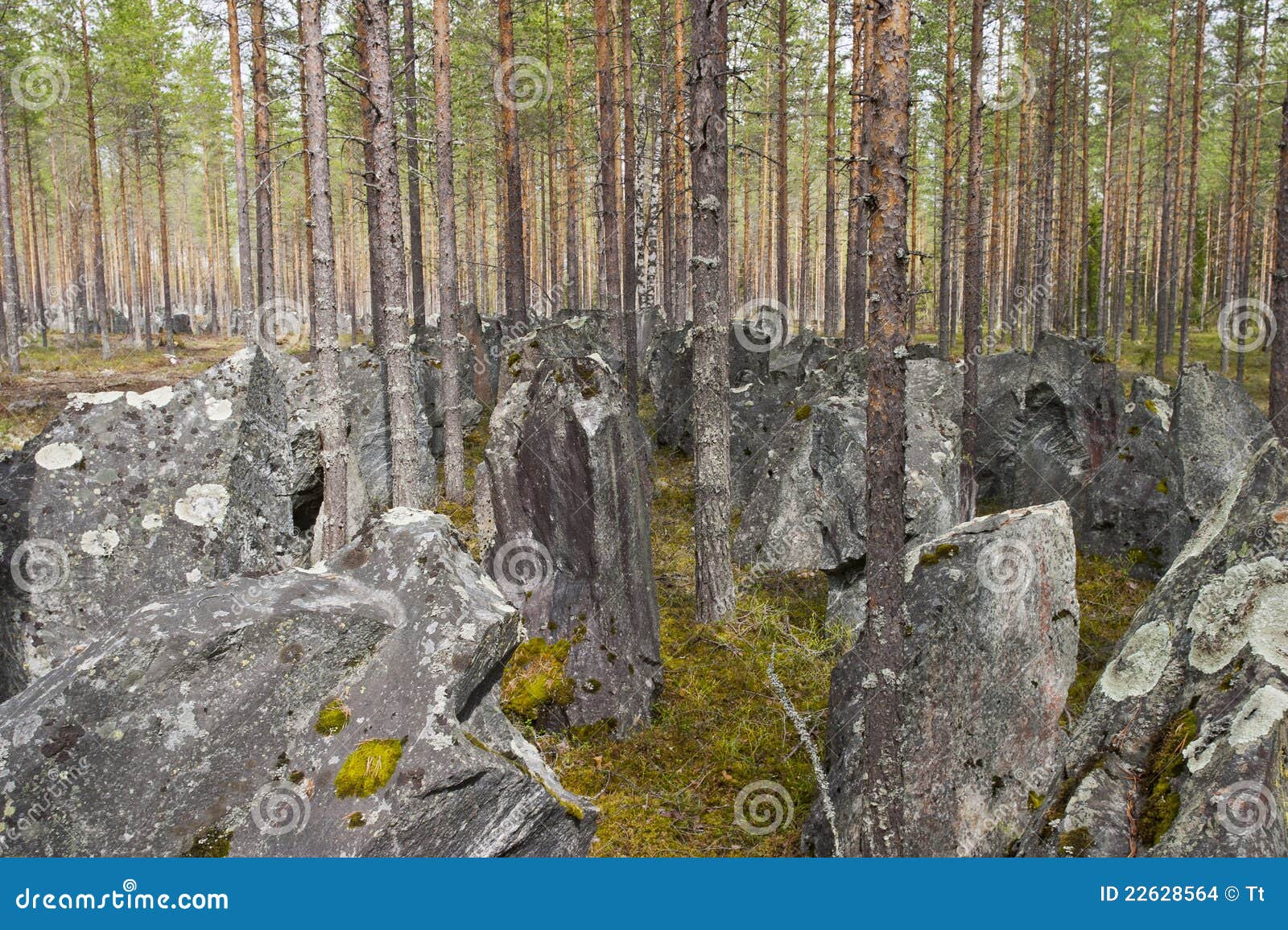 Antitank Barrier World War II Stock Photo - Image of finland, history ...
