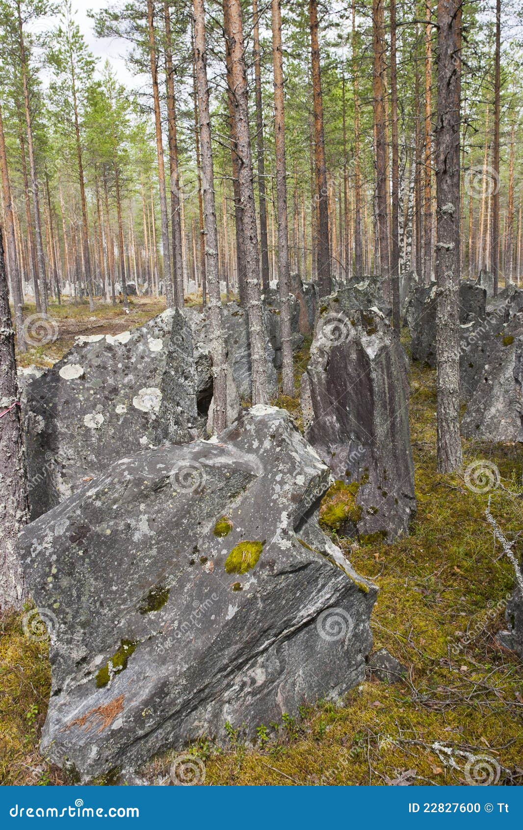 Antitank Barrier World War II Stock Photo - Image of military, border ...