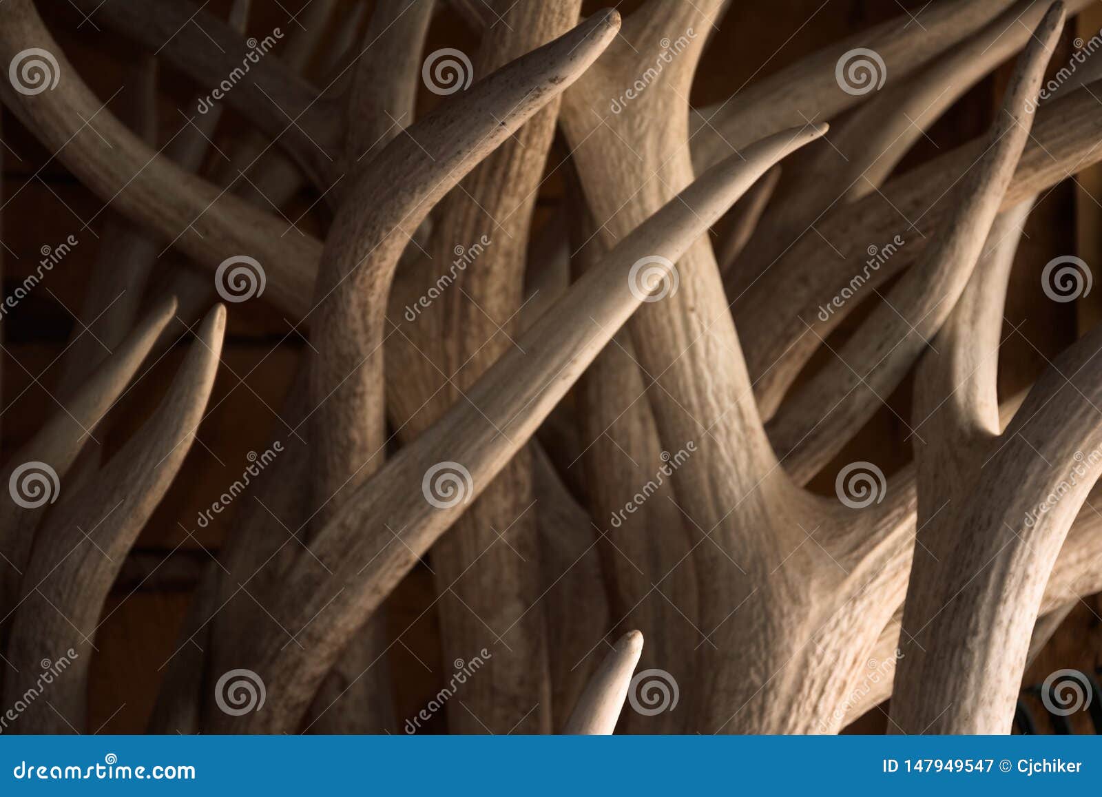 Antlers Background Texture Points and Beams Stock Image - Image of drop ...