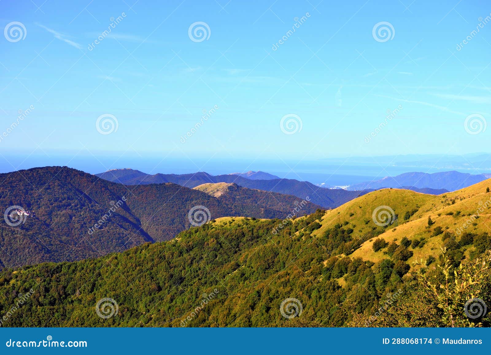 Antola Mountain Liguria Italy Stock Photo - Image of tree, natural ...