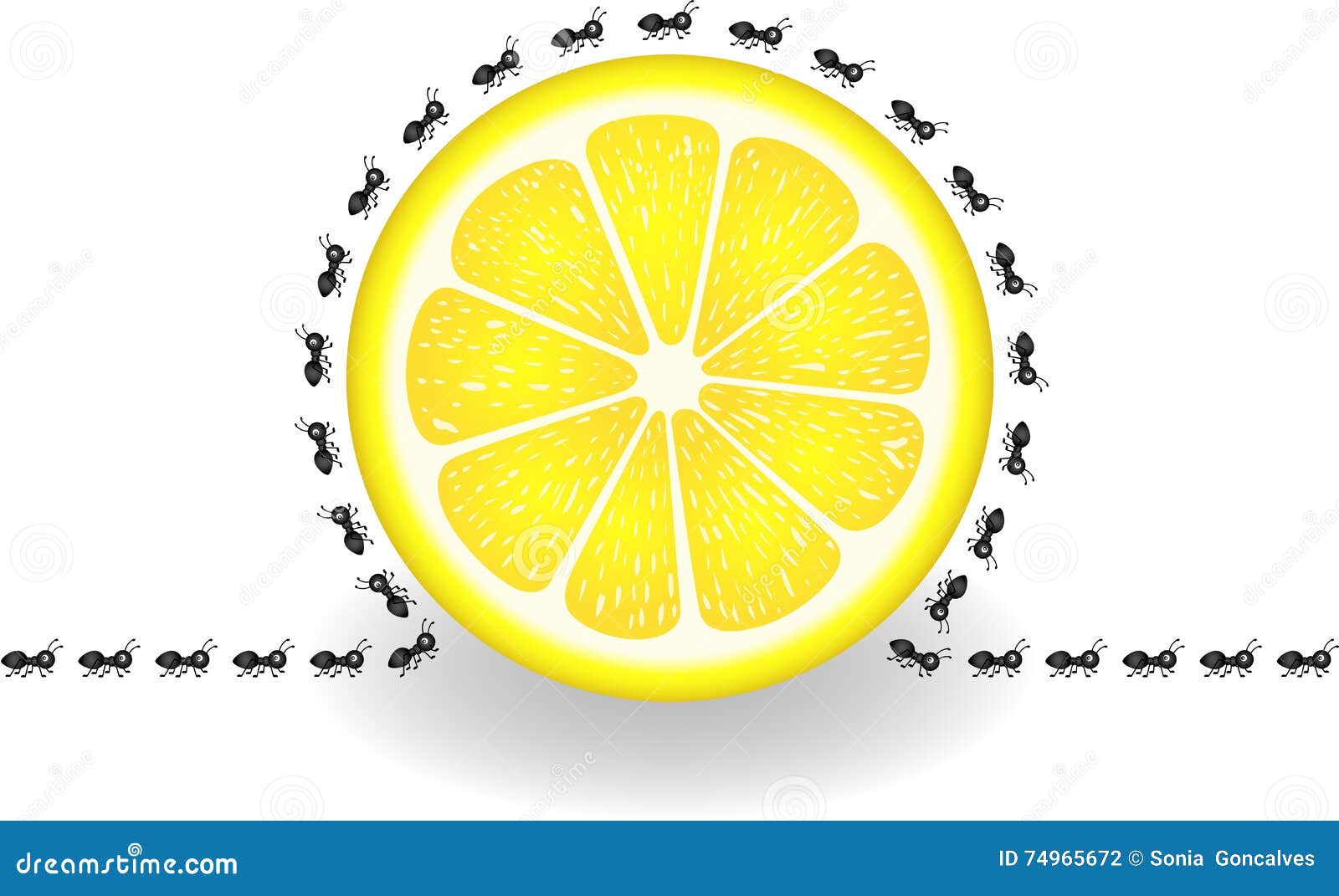 Ants around lemon slice stock vector. Illustration of fauna - 74965672