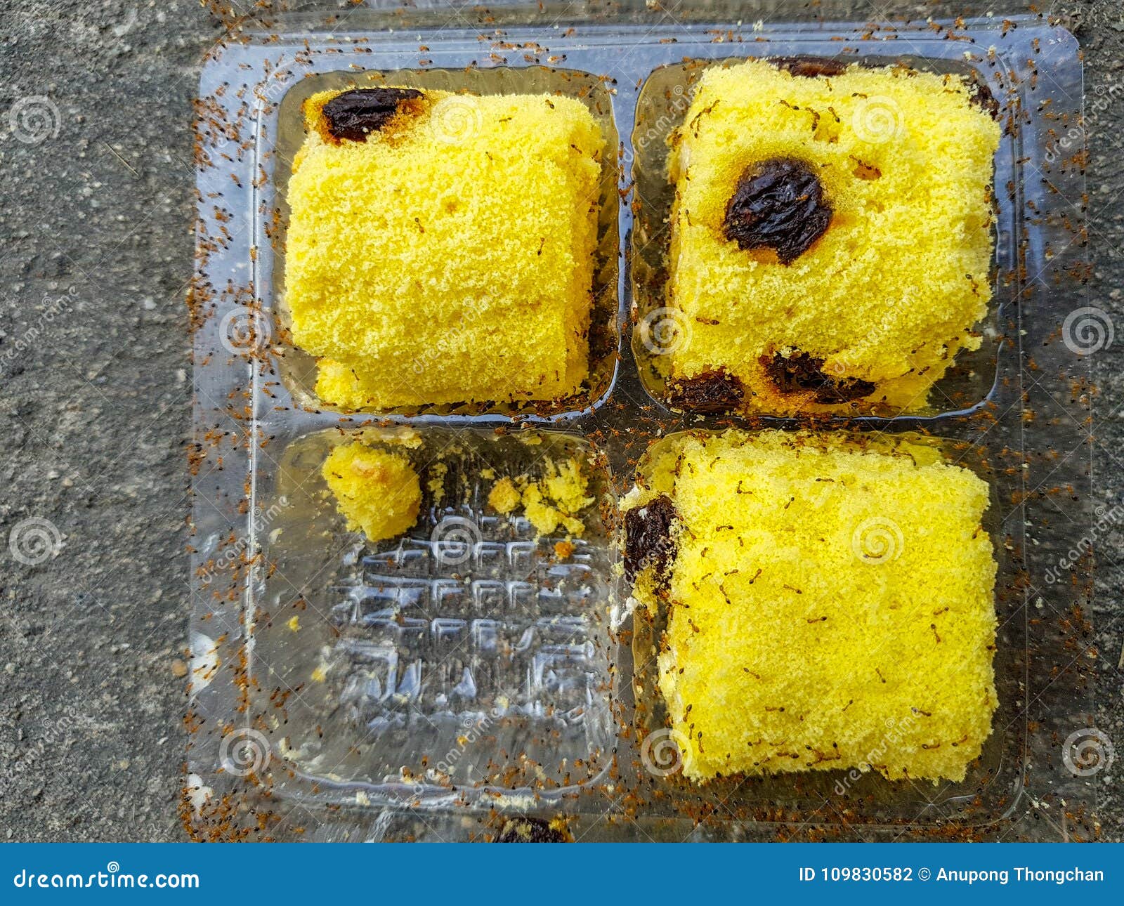 Ants on the Bread stock photo. Image of crumbs, close - 109830582