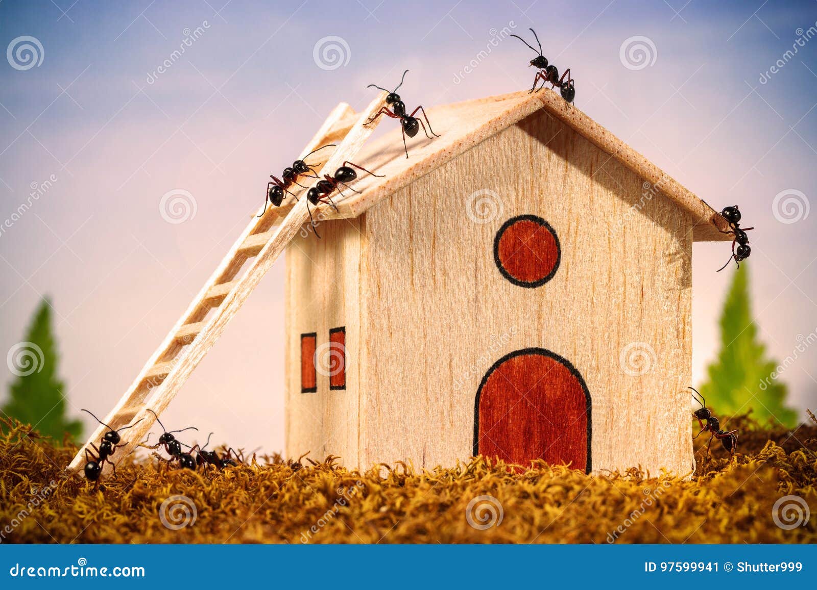 Ants Build a House with Ladder Stock Image - Image of construction ...