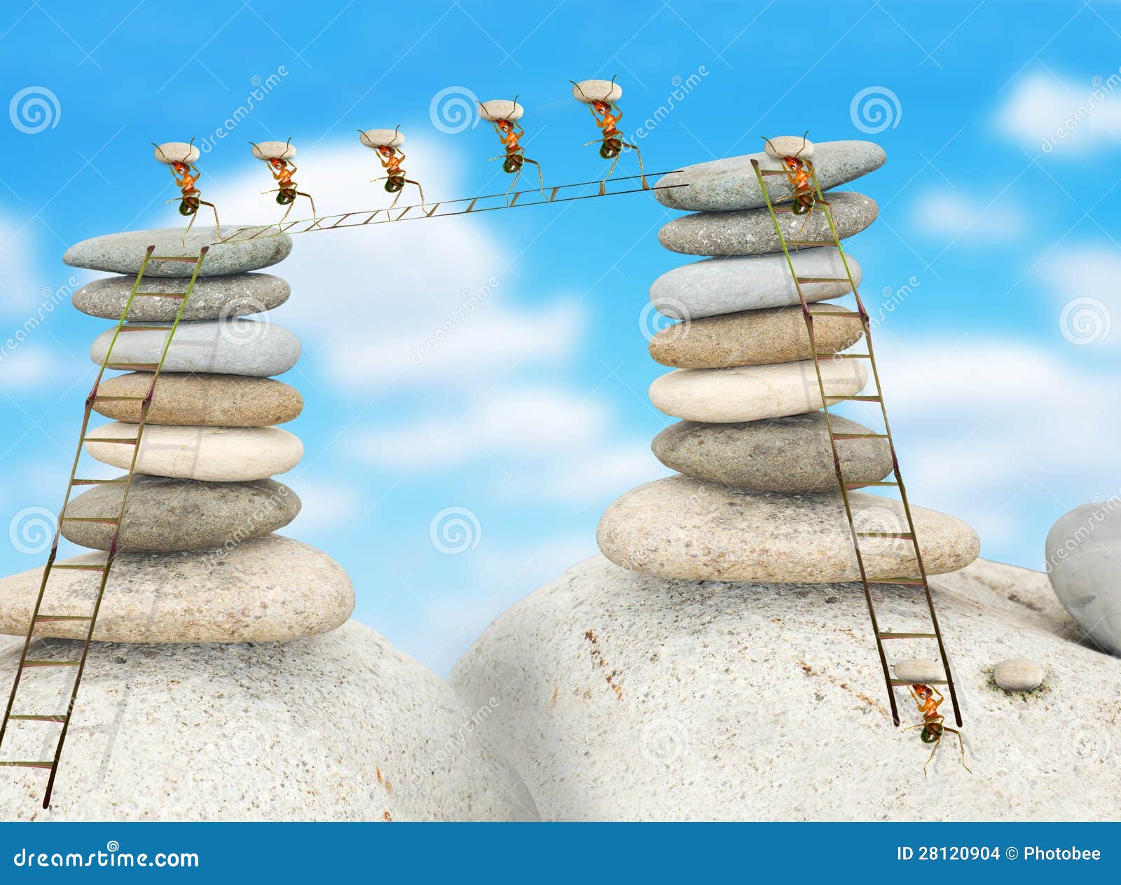 Ants building stock photo. Image of animal, antenna, buildings - 28120904