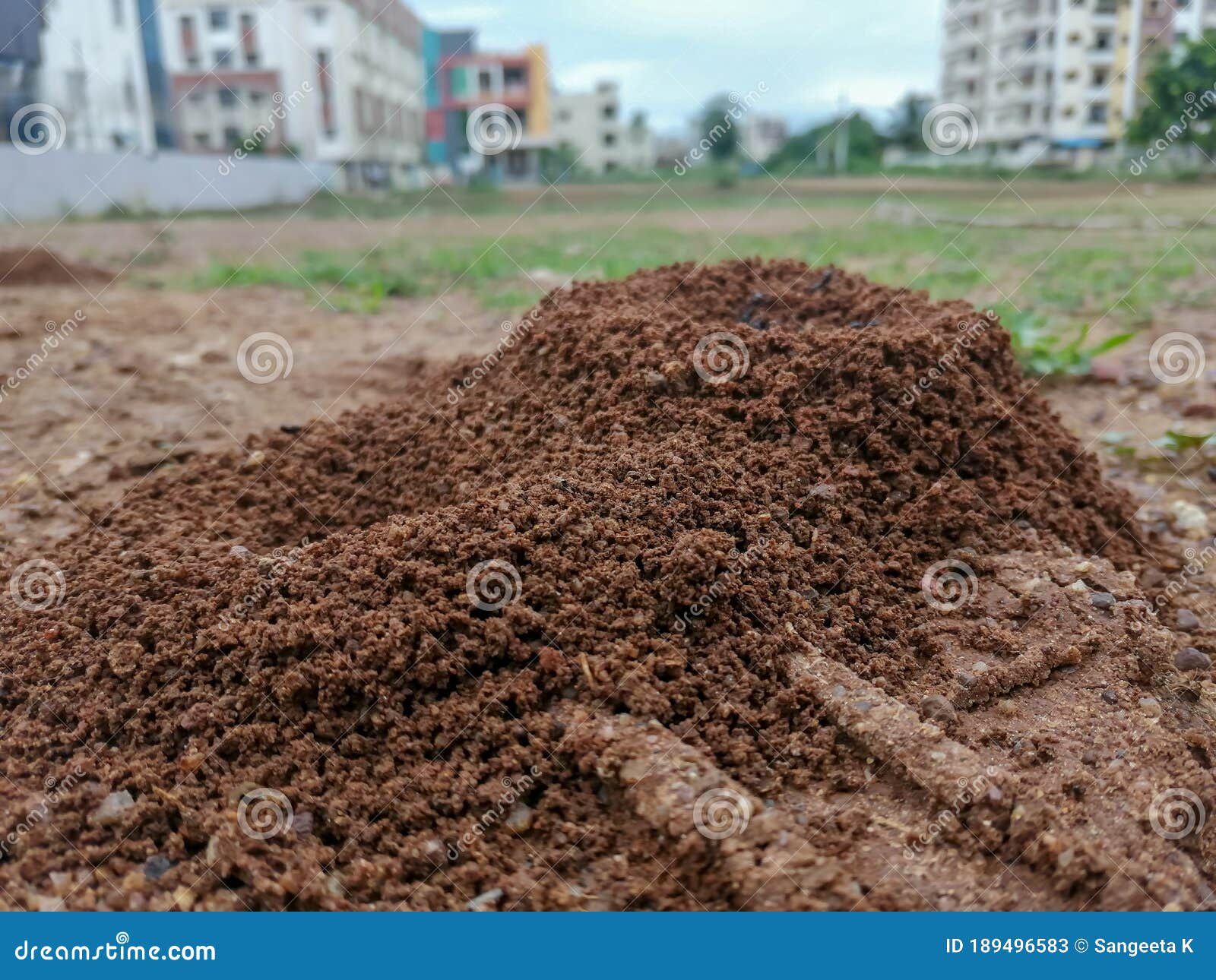 Ants Burrows Like a Fort in the Ground Stock Image - Image of burrows ...