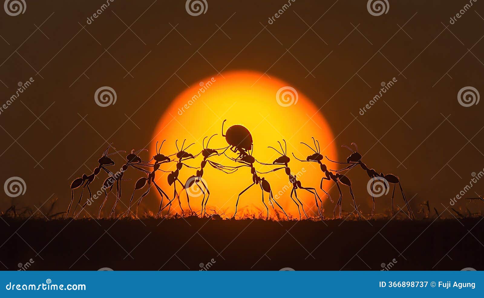Ants Carrying Log On A Rock At Sunset Stock Image | CartoonDealer.com ...
