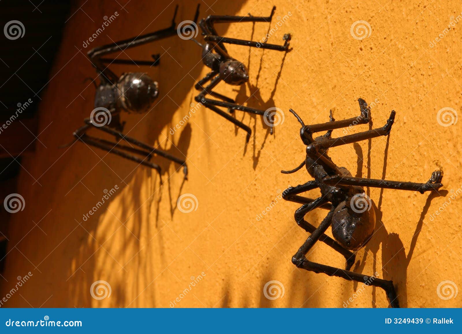 Artificial Ants In Plastic Container Royalty-Free Stock Photography ...