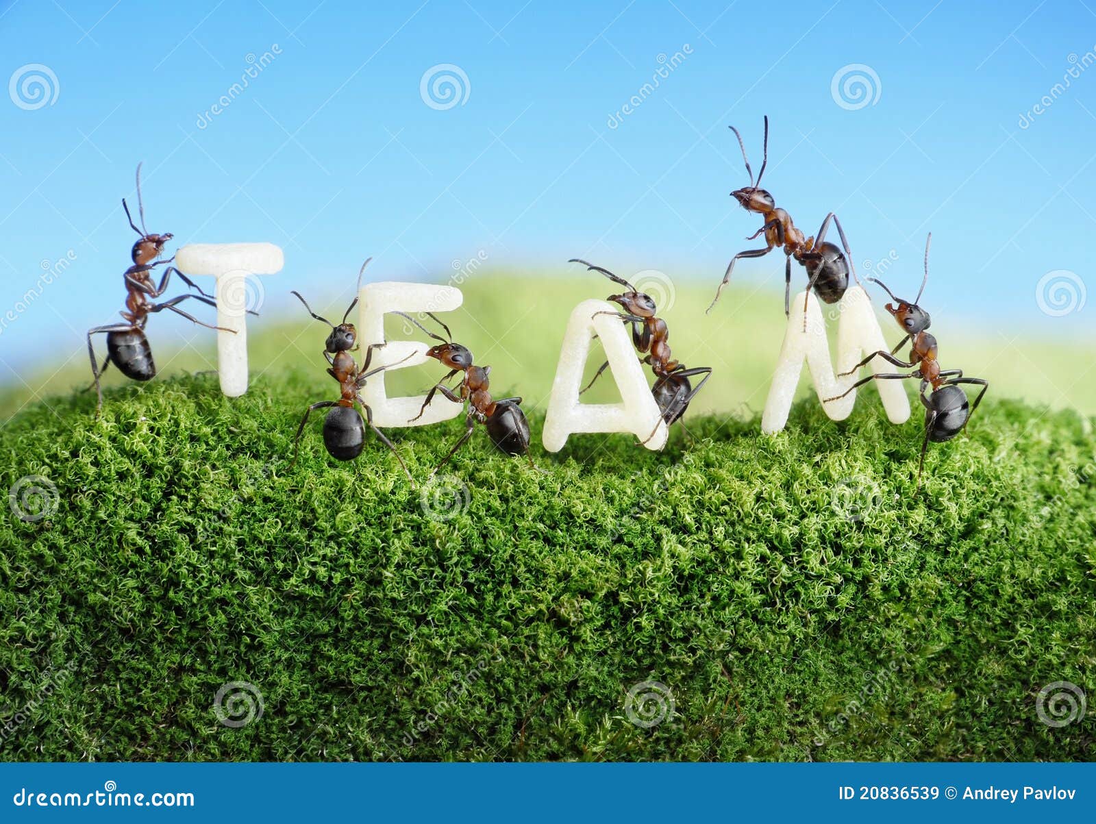 The Word Team . Small Grouping. Employee Management. Working Staff. The ...