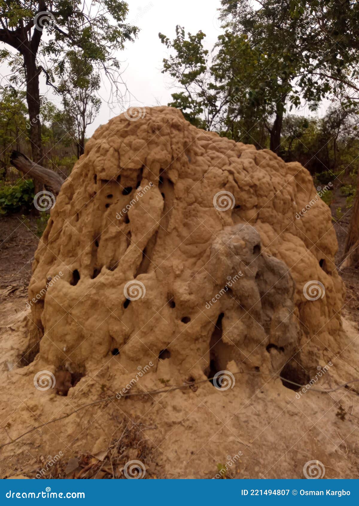 Ants House Stock Image | CartoonDealer.com #221494807