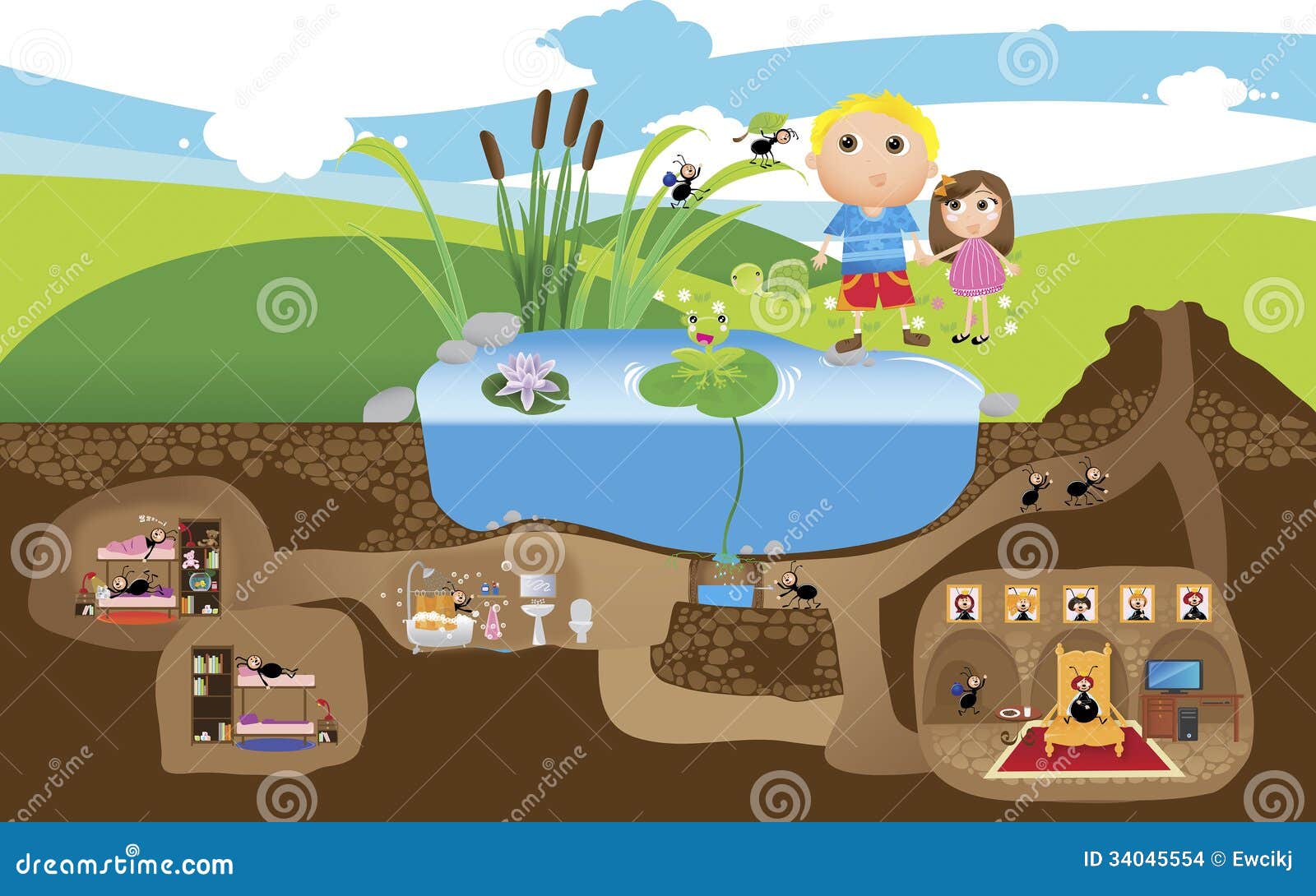 Ants Life Cycle Object Vector On White Background.Isolated ...