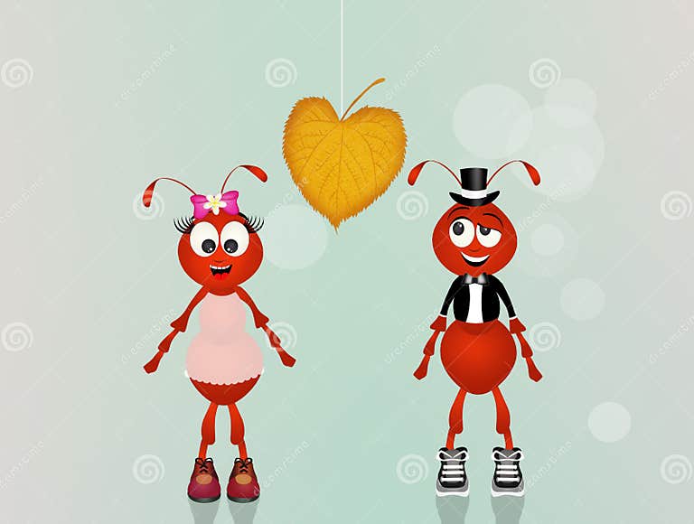 Ants in love stock illustration. Illustration of couple - 81612928