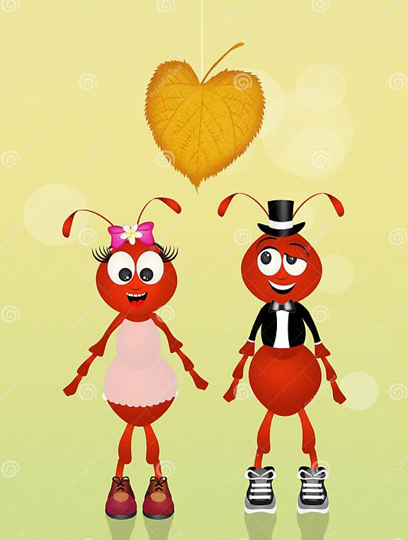 Ants in love stock illustration. Illustration of heart - 81645654
