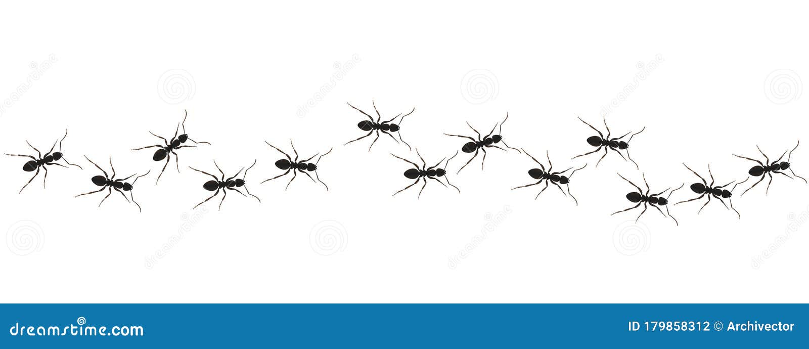 A Path Of Ants Running Up. View From Above. Vector Illustration In Flat ...