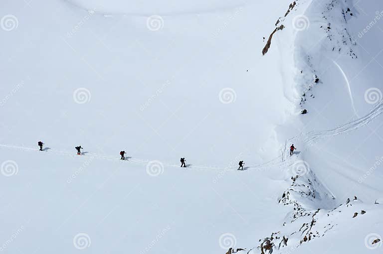 Ants in the snow stock image. Image of nature, sport - 28171363
