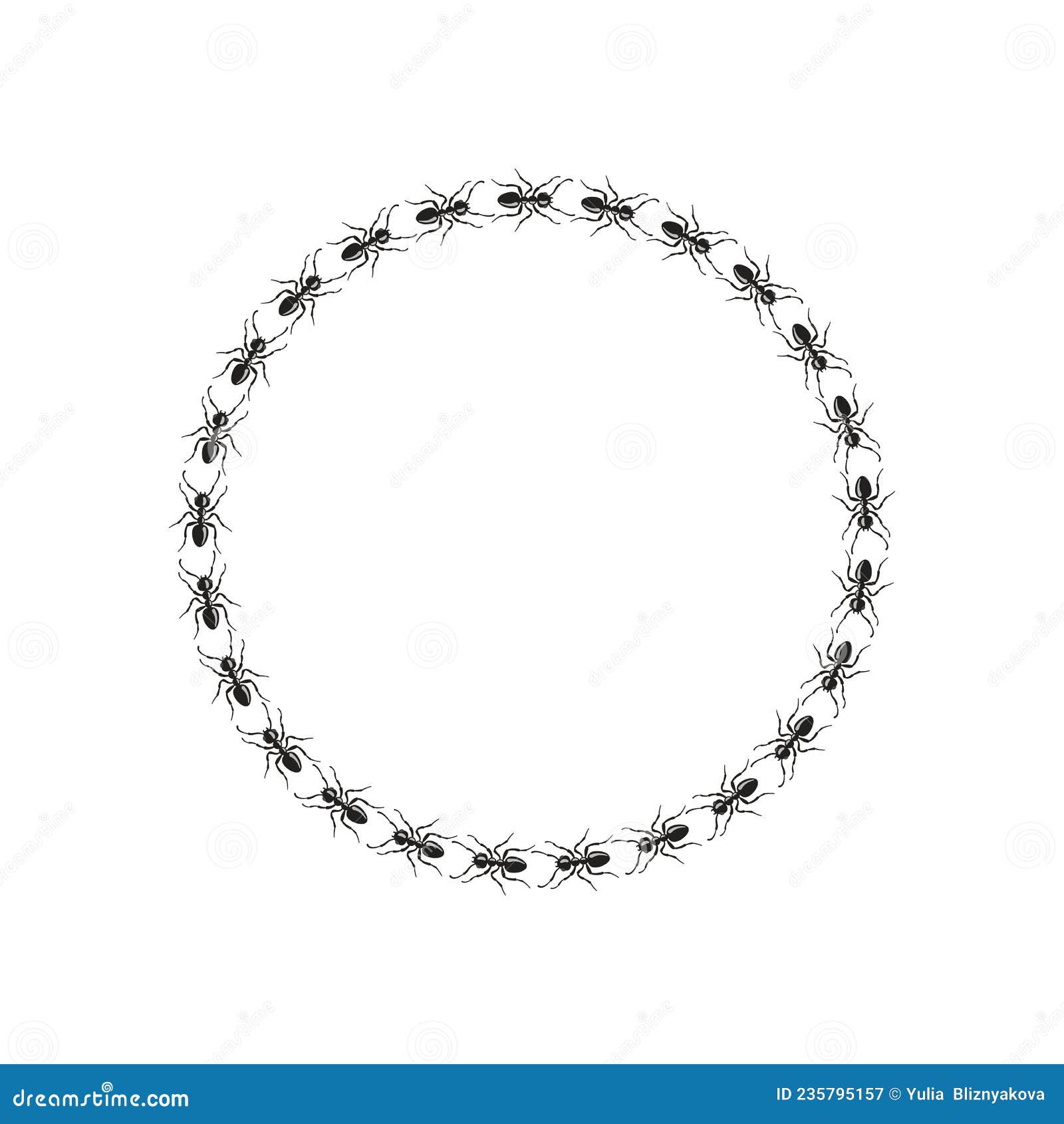 Ants Walk in Circle. Insect Frames. Vector Illustration. Stock Vector ...