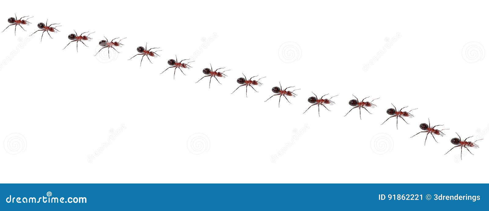 Ants walking stock illustration. Illustration of house - 91862221
