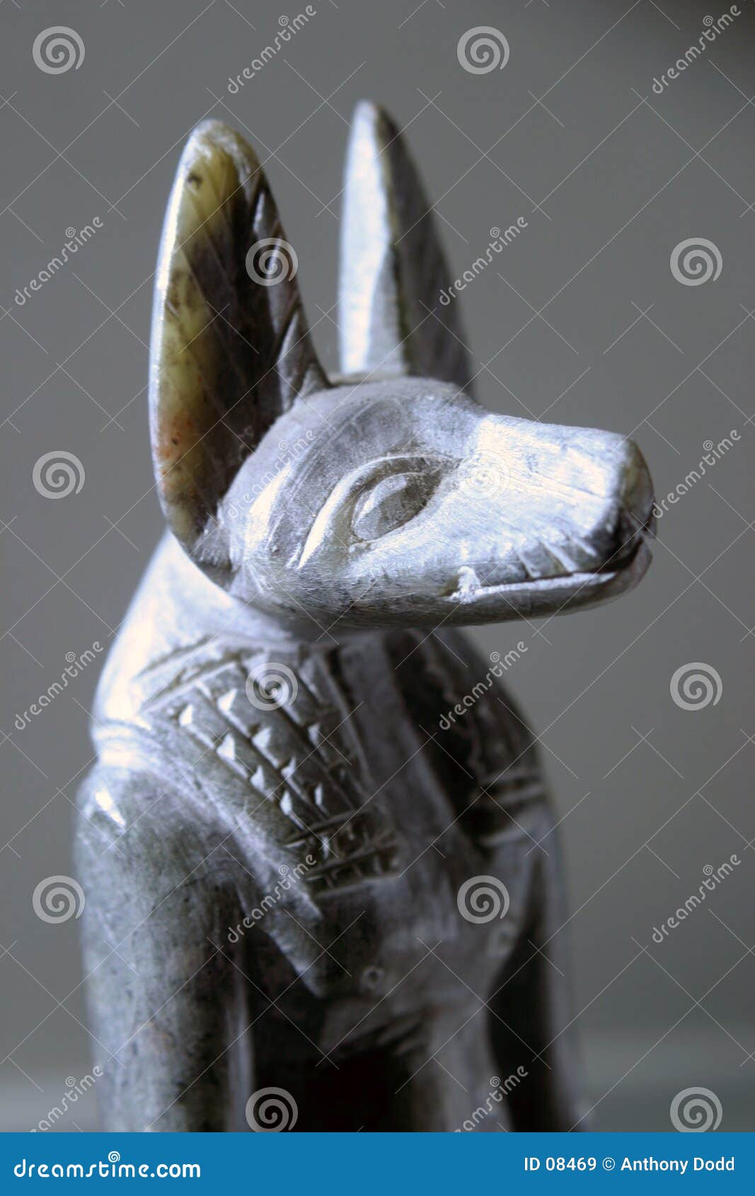 Anubis stock image. Image of anubis, statuette, anpu, jackal - 8469