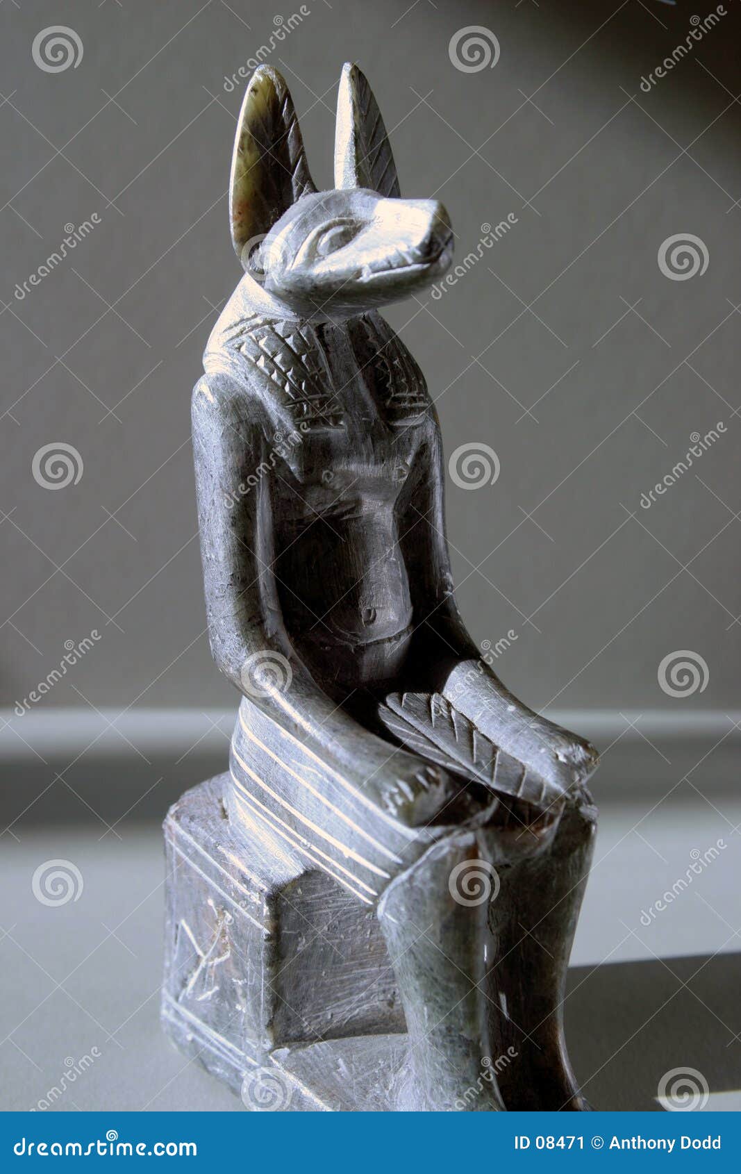 Anubis stock afbeelding. Image of dodenstad, mummificatie - 8471