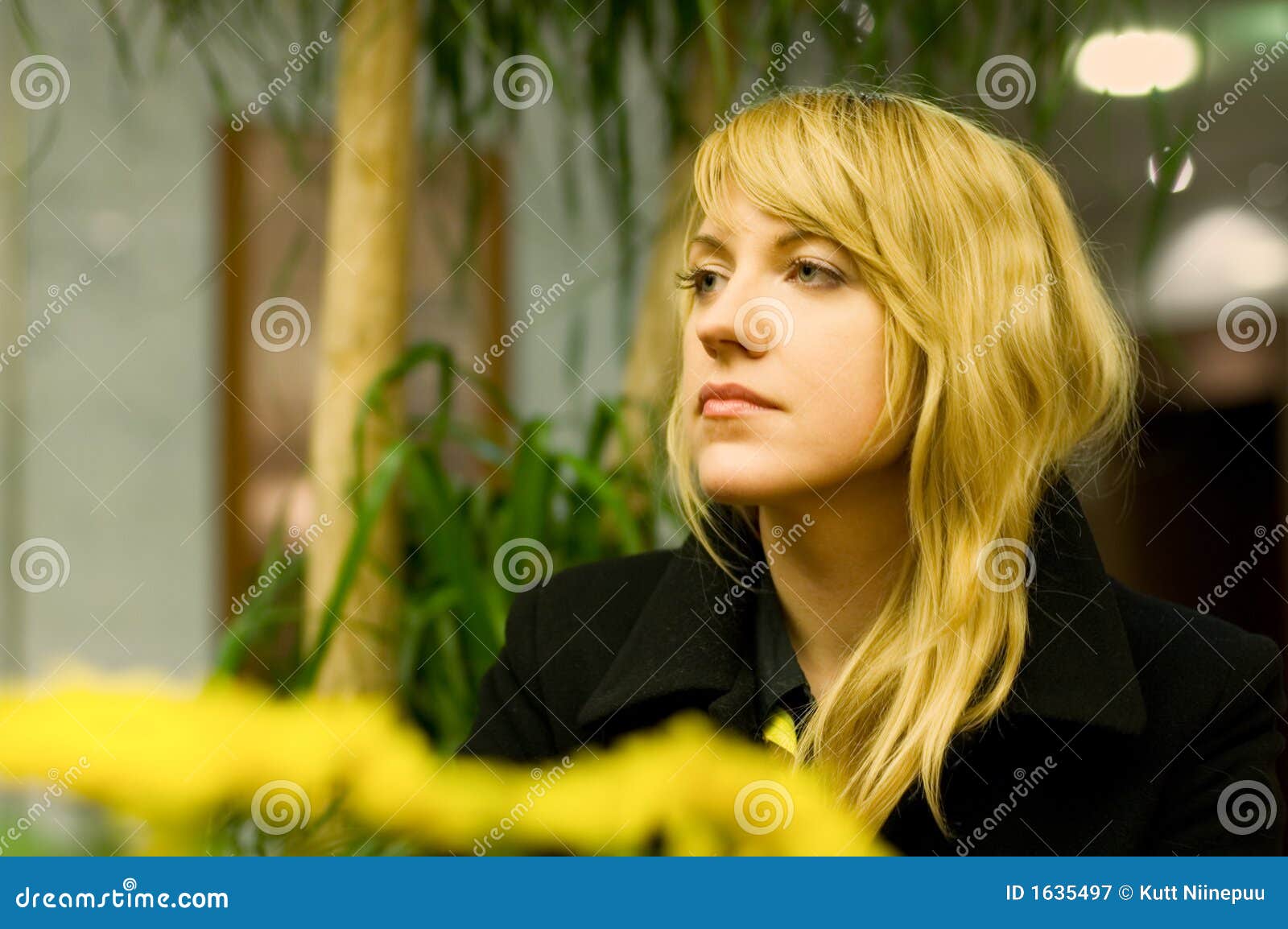 Anxious Professional Woman stock image. Image of female - 1635497
