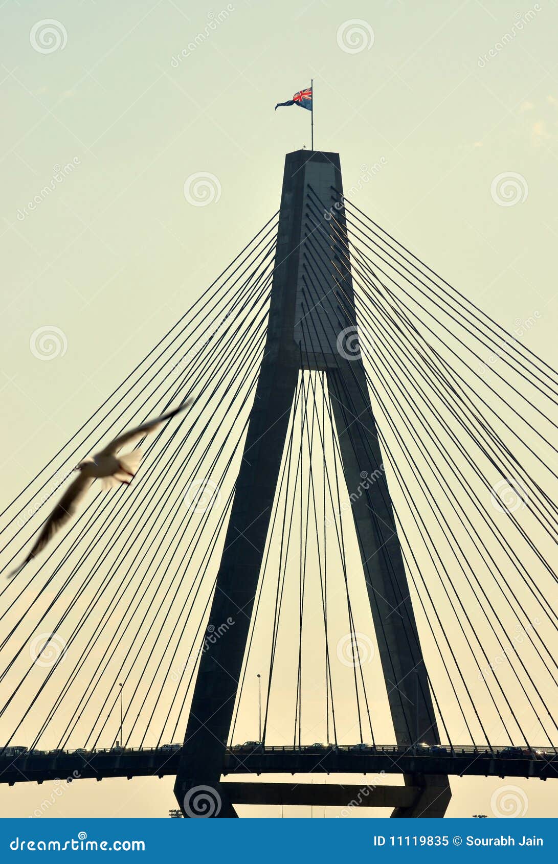 Anzac Bridge editorial image. Image of supports, freeway - 11119835