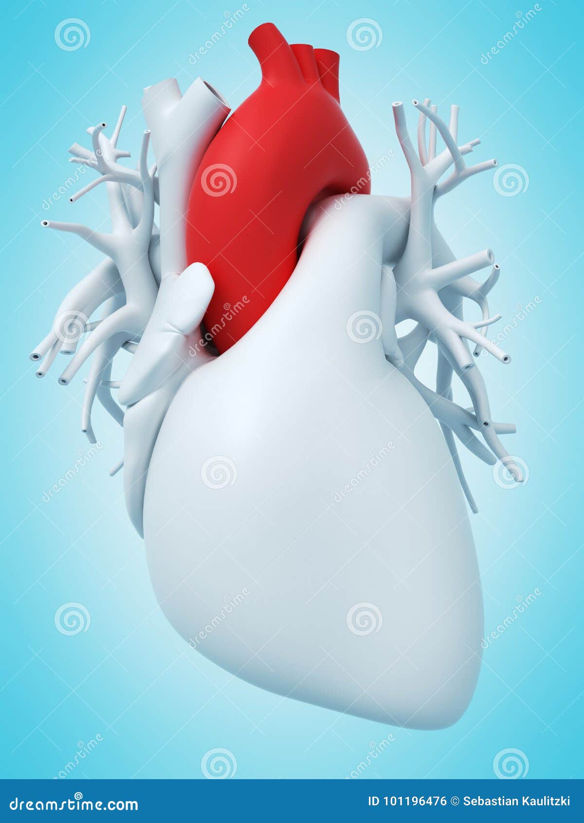 Aorta DNA Biology Medical Business Logo Vector Illustration ...