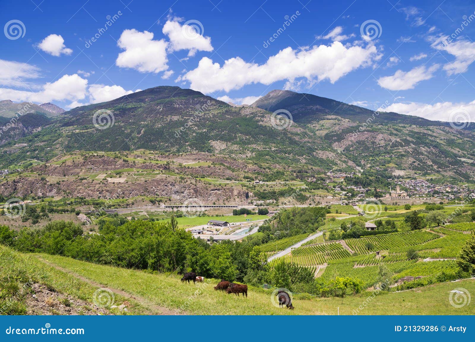 Aosta Valley. Italy stock photo. Image of aosta, pasture - 21329286