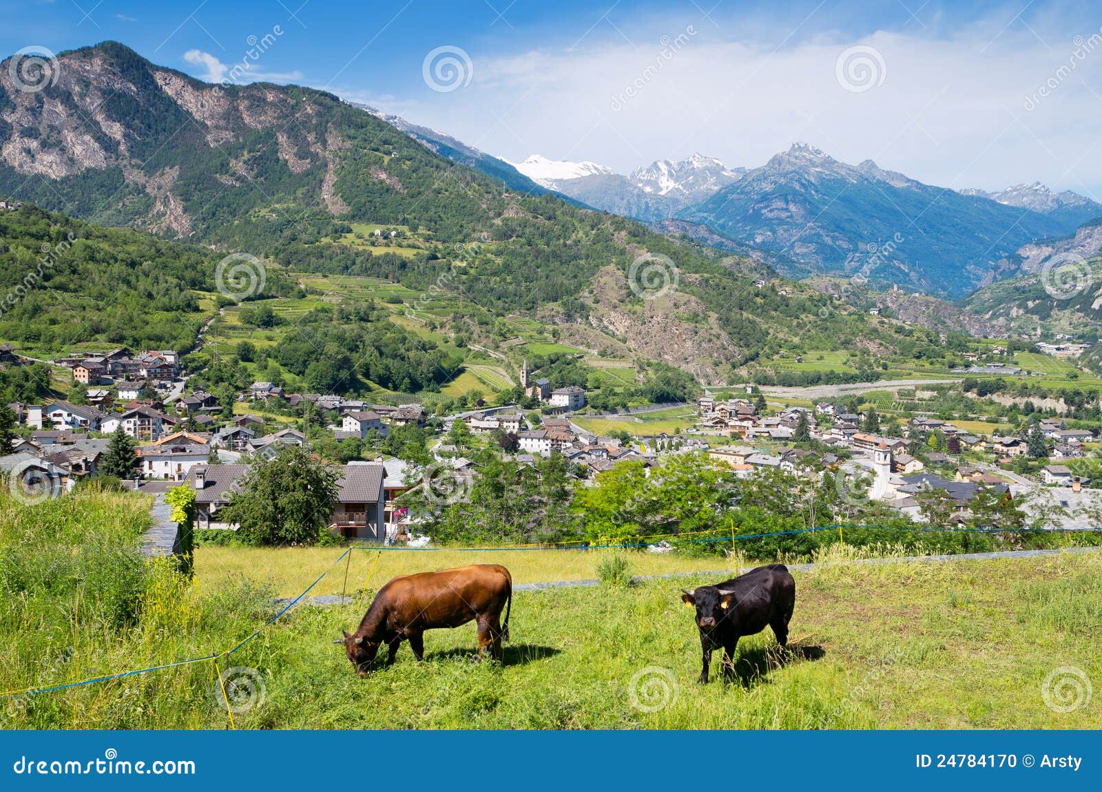 Aosta Valley. Italy stock photo. Image of meadow, aymavilles - 24784170