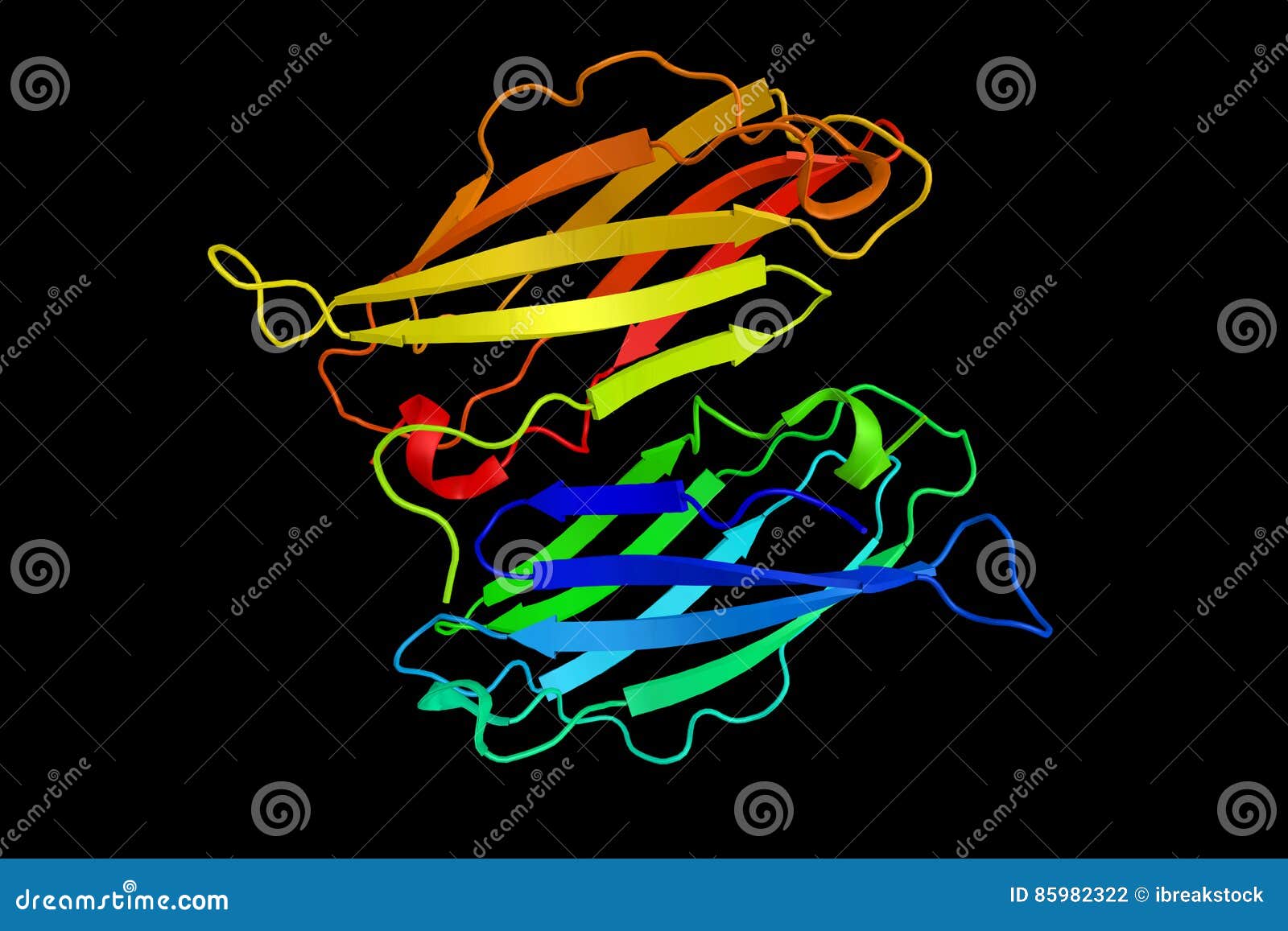 AP-1 Complex Subunit Gamma-1, a Protein Which Forms a Heterotetrameric ...